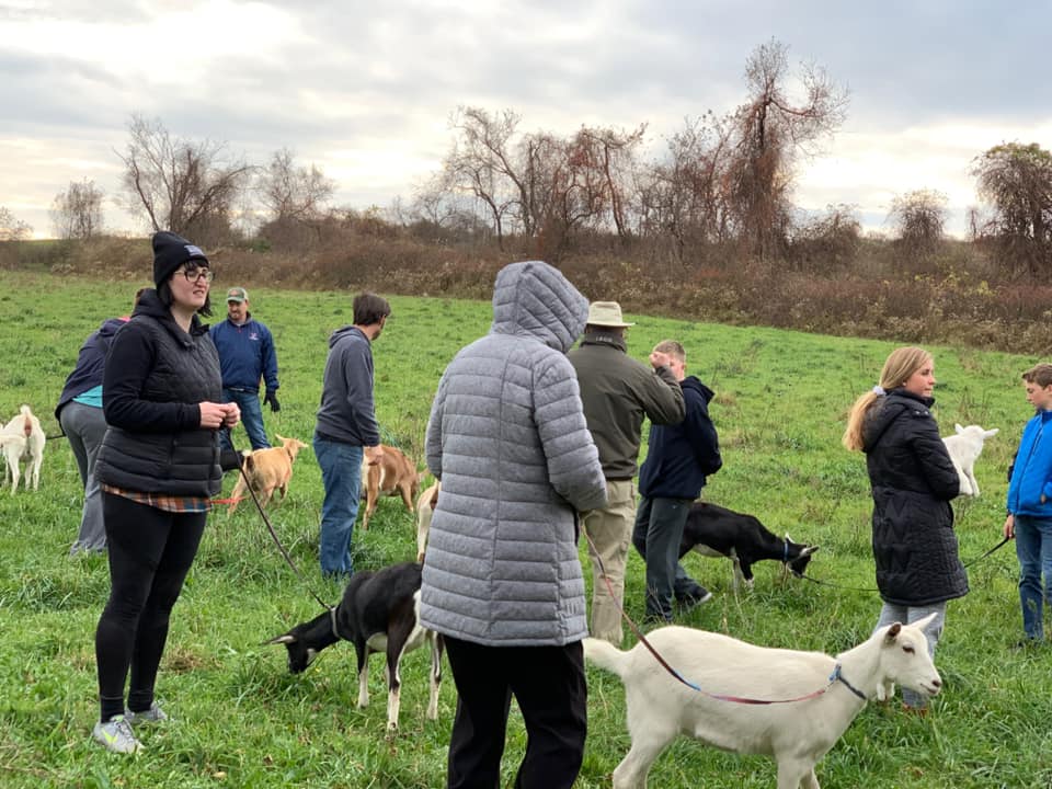 Play With Goats At Simmons Farm In Rhode Island
