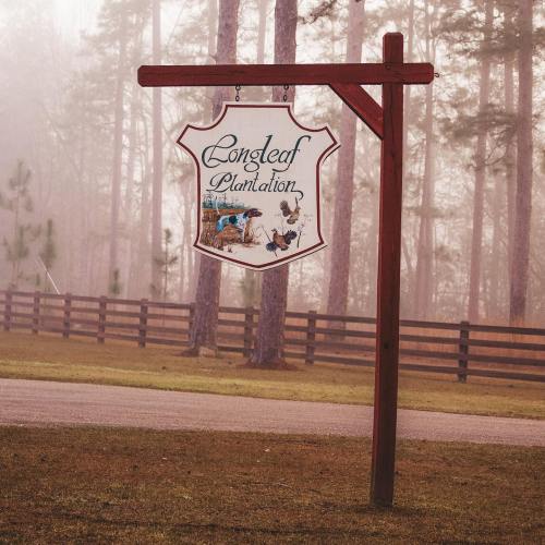 Longleaf Plantation: Remote Getaways In Mississippi