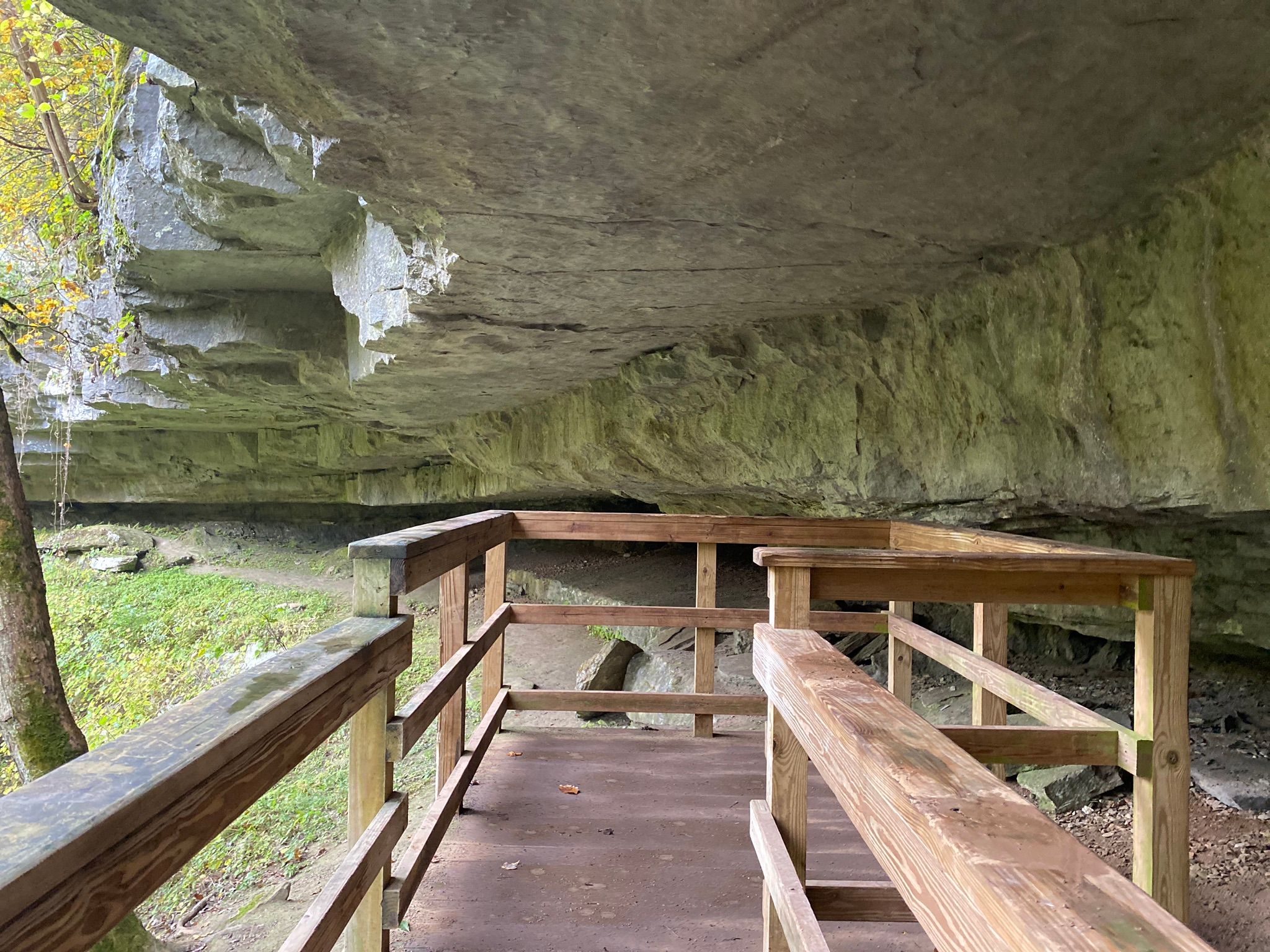 Cedar Sink Trail Mammoth Cave