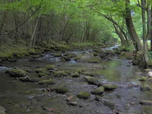 The Tiny Town Of Cosby, Tennessee Is One Of The Last Of Its Kind