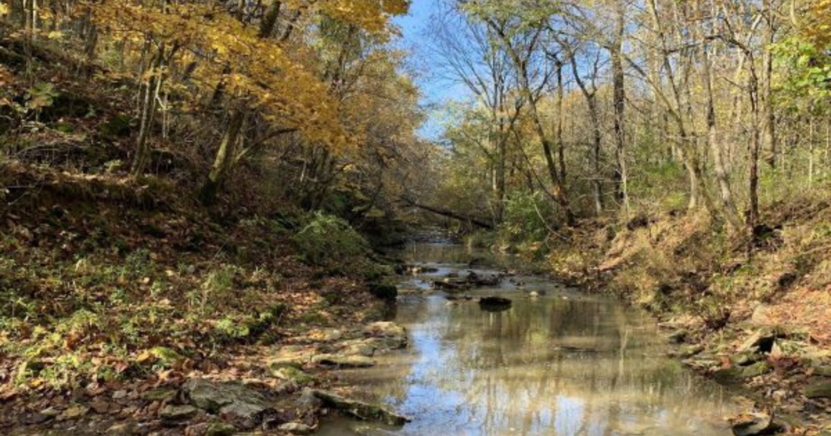 One Of The Best Loop Hikes In Missouri Is A Perfect Day Hike