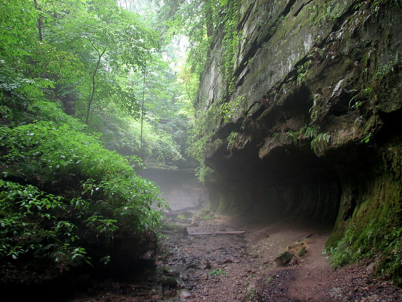 These Amazing Parks In Indiana Will Reconnect You With Nature