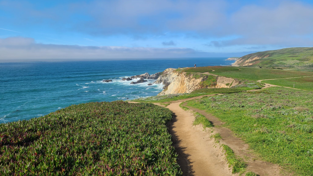 Bodega Head Trail In Northern California Is Perfect For A Short Day Hike