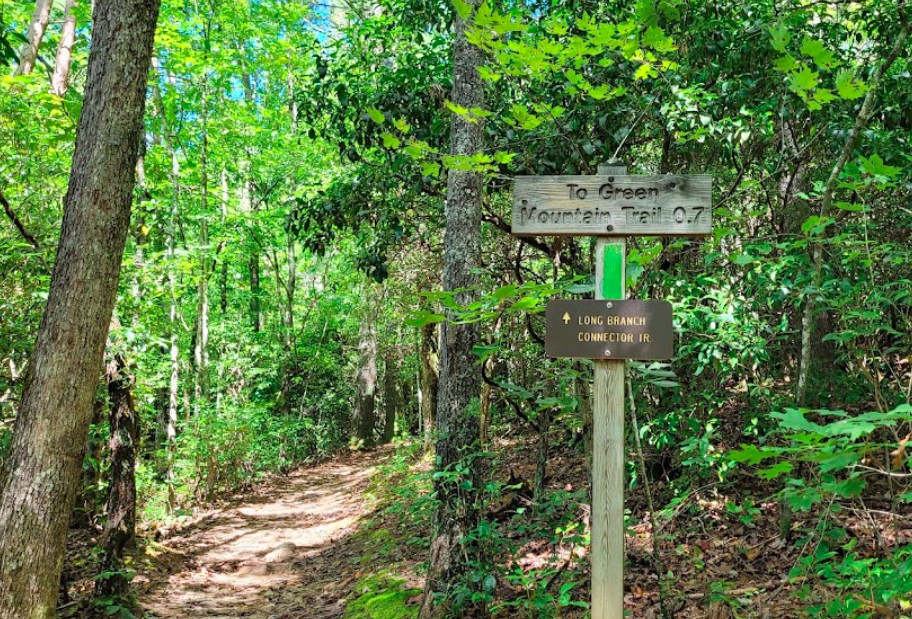 The One Loop Trail In Georgia That’s Perfect For A Short Day Hike, No ...