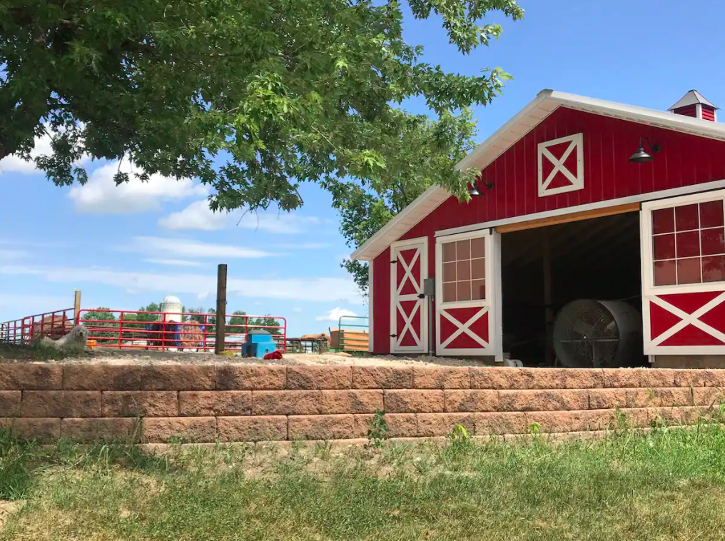 You Simply Have To Visit This Goat Farm AirBnb In Minnesota