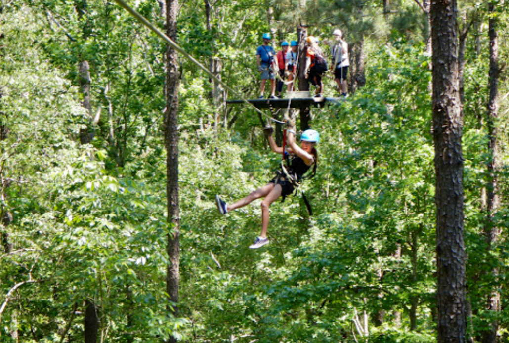 The One Walk Above The Trees In South Carolina That’s Beautiful Any Time Of Year