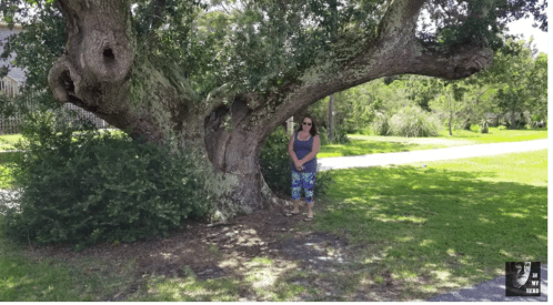 The Legend Of The Witch Tree In North Carolina Will Send Chills Up Your ...
