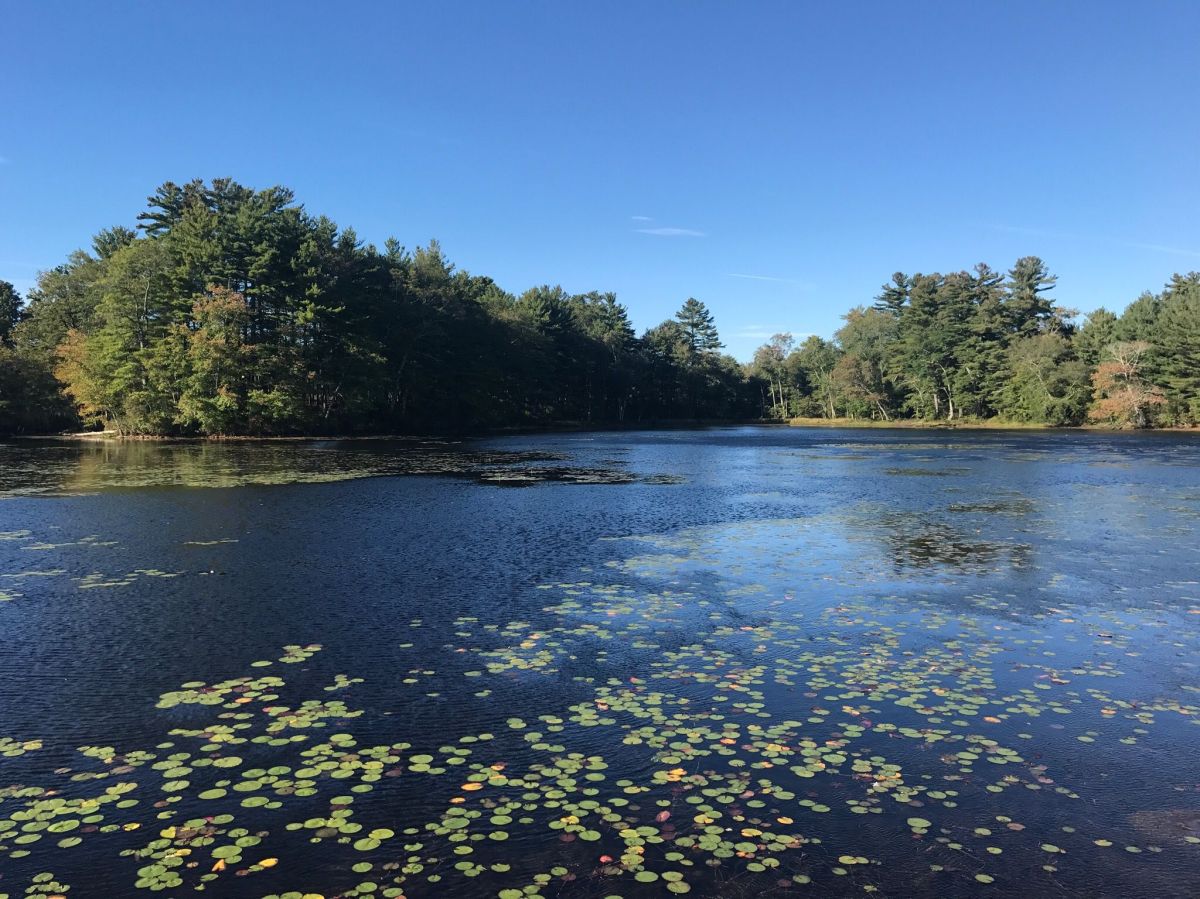 This Loop trail Hike In Rhode Island Is Perfect In All Seasons