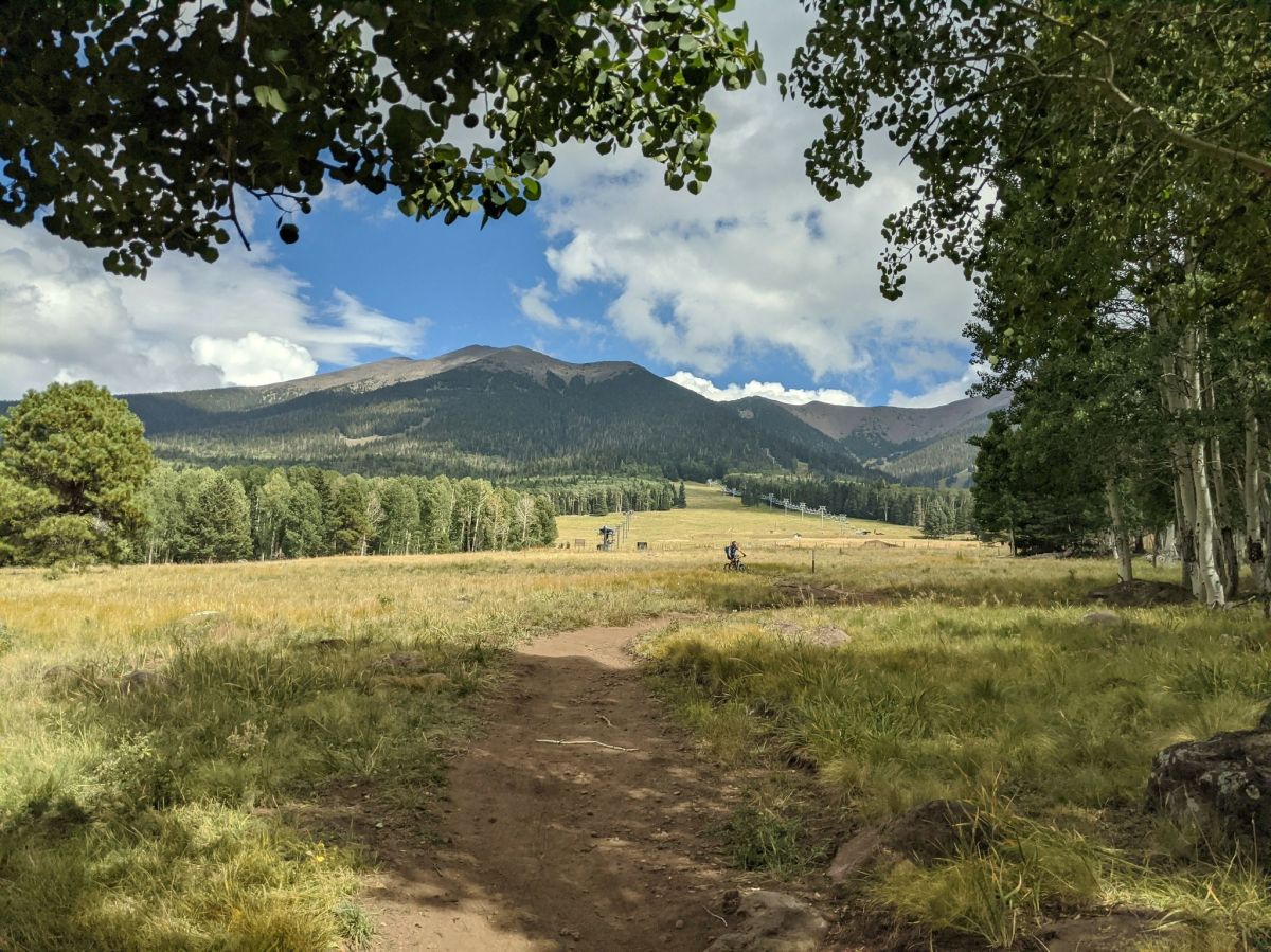 Enjoy The Easy Aspen Nature Loop Trail In Arizona