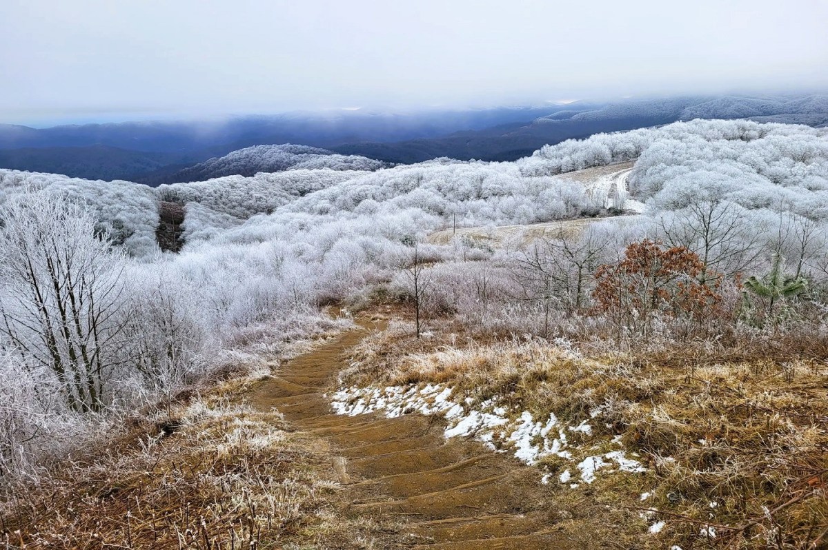 Max Patch Trail Is One of the Best Winter Hikes in North Carolina