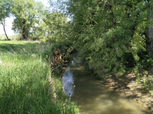 Short Day Hikes In Colorado: Niwot Loop Trail