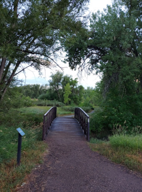 Short Day Hikes In Colorado: Niwot Loop Trail