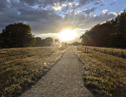 Short Day Hikes In Colorado: Niwot Loop Trail