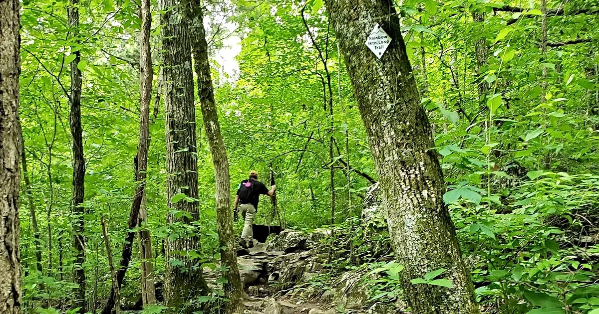 The One Loop Trail In Alabama That’s Perfect For A Short Day Hike, No ...