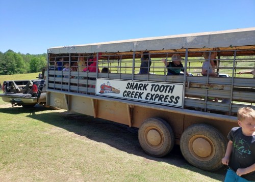 Shark Tooth Creek Is Most Unique Outdoor Attraction In Rural Alabama