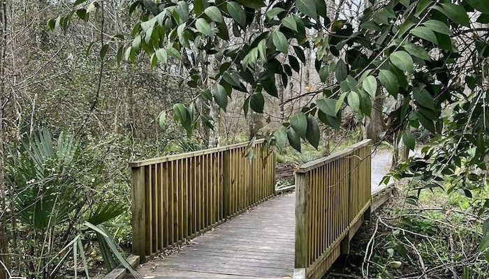 Black Swamp Trail Is An Oasis Of Nature In Baton Rouge