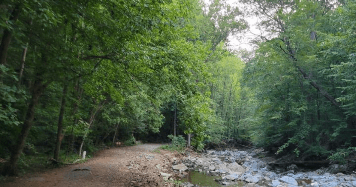 Woodland And River Trail Loop: Easy Loop Trail In Virginia