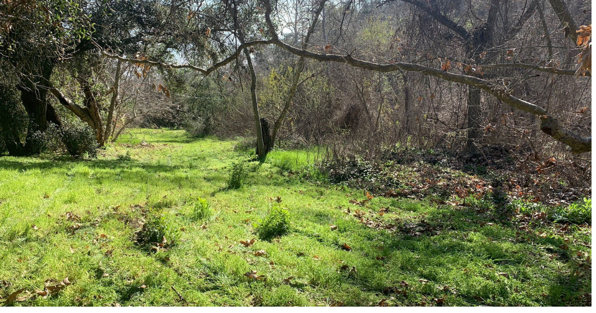 6 Of The Best Hiking Trails In Fallbrook, Southern California