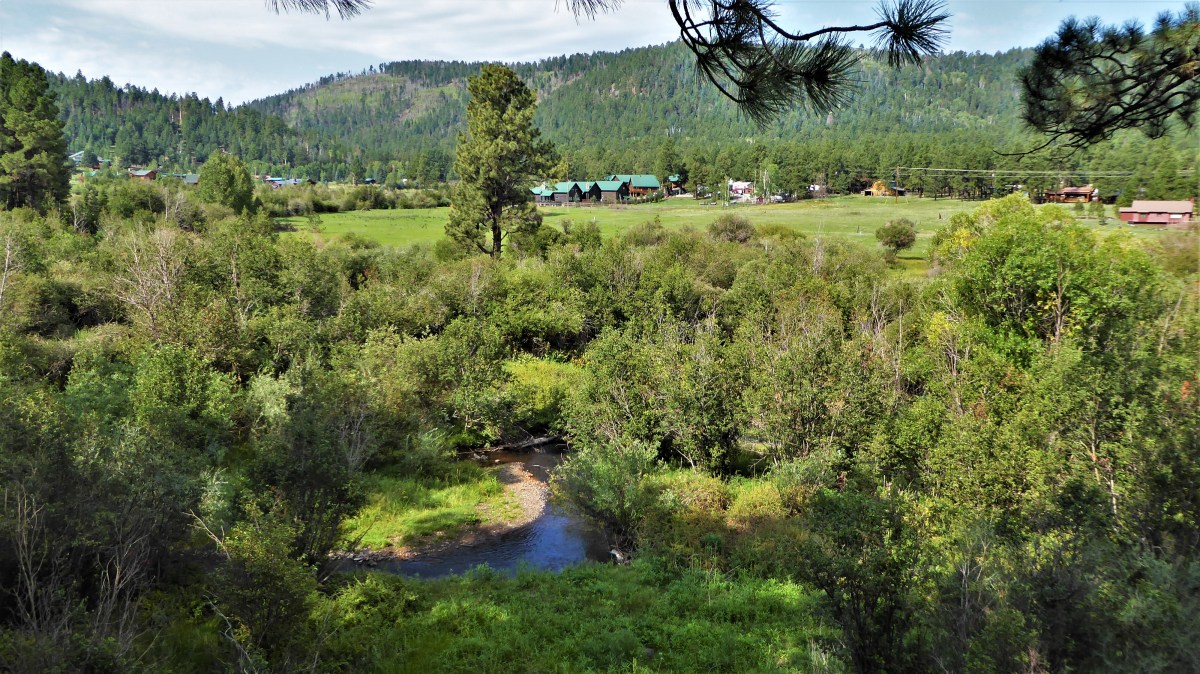 Discover Greer, Arizona: A Nature Lover's Paradise