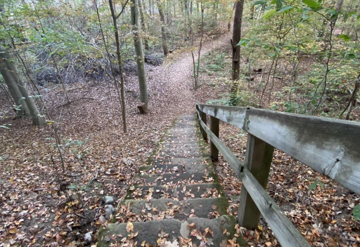 Chuckery Trail Loop: An Easy Hike In Ohio You'll Love