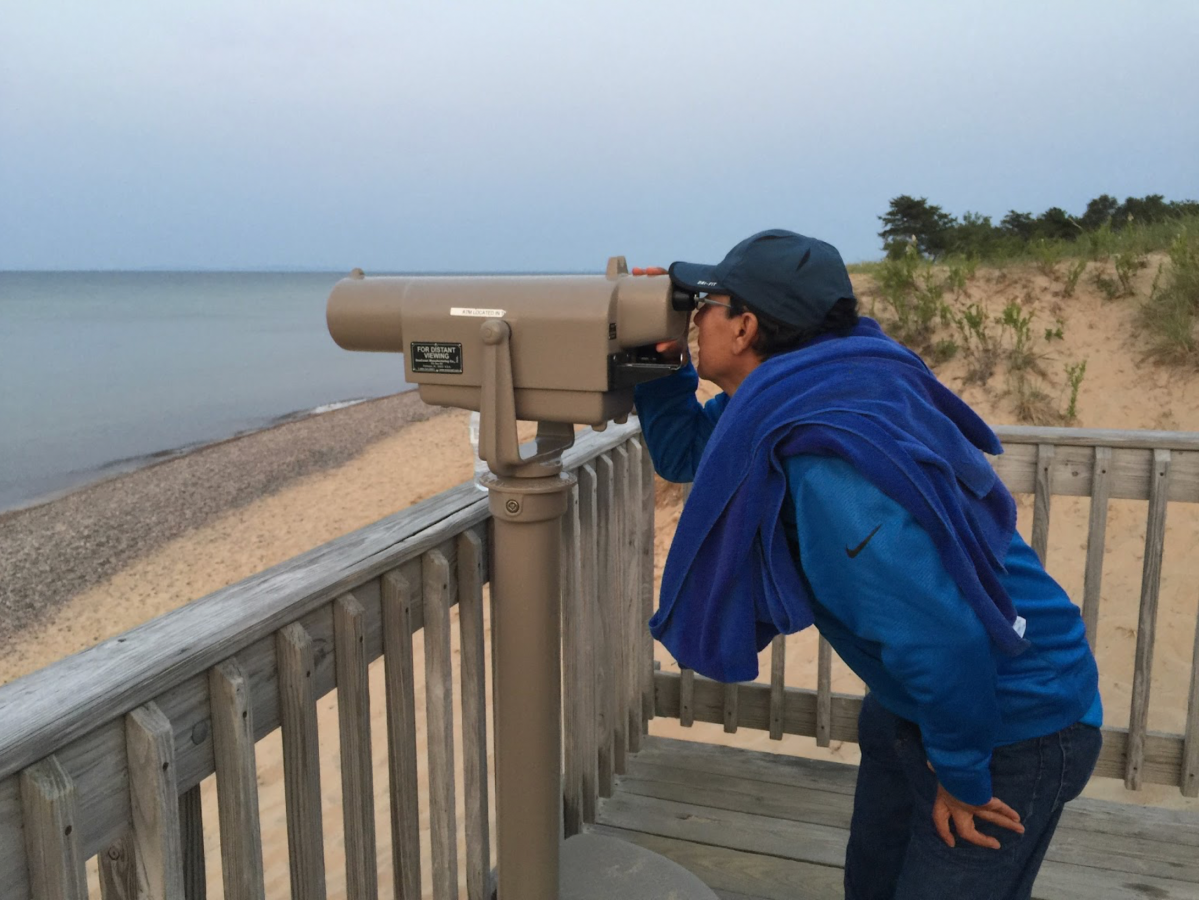 See Migratory Songbirds In Michigan At Whitefish Point Bird Observatory