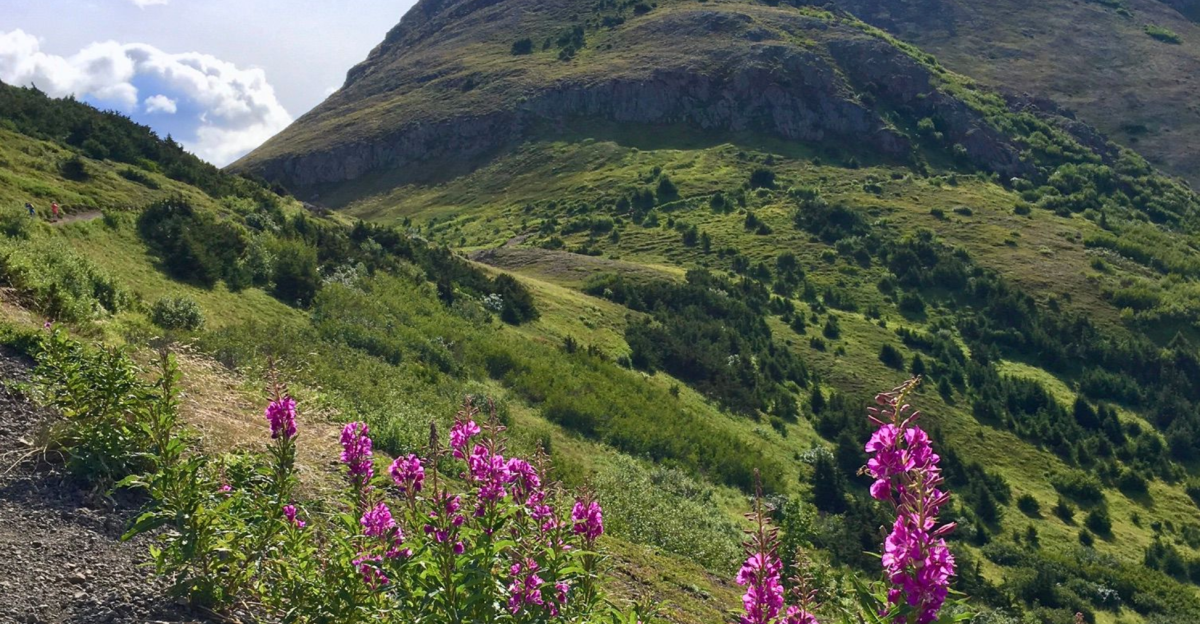 The Blueberry Loop Trail in Alaska provides beautiful scenery