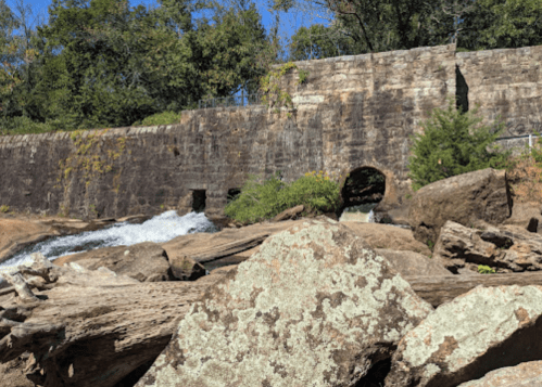 Pelham Mill Park Is Hiding South Carolina's Most Accessible Ruins