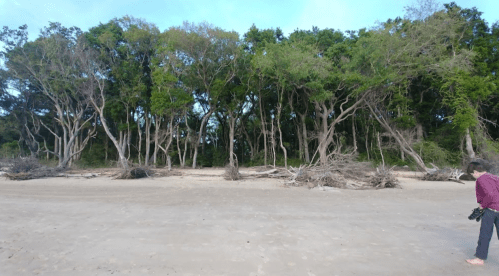 Visit The Secluded Beach In South Carolina On St Helena Island