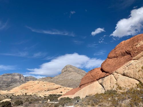 Explore the Family-Friendly Red Springs Boardwalk in Nevada