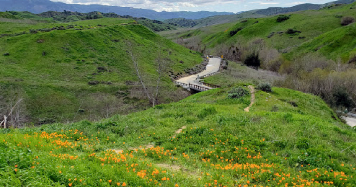 Outdoor Adventure: Best Spring Hikes In Southern California