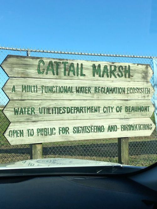 Take A Scenic Boardwalk Hike At Cattail Marsh In Texas