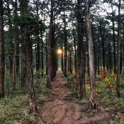 The Parallel Forest Loop Trail Is an Abandoned Trail in Oklahoma