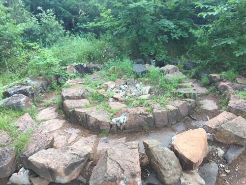 The Parallel Forest Loop Trail Is an Abandoned Trail in Oklahoma
