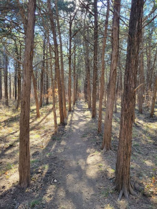 The Parallel Forest Loop Trail Is An Abandoned Trail In Oklahoma