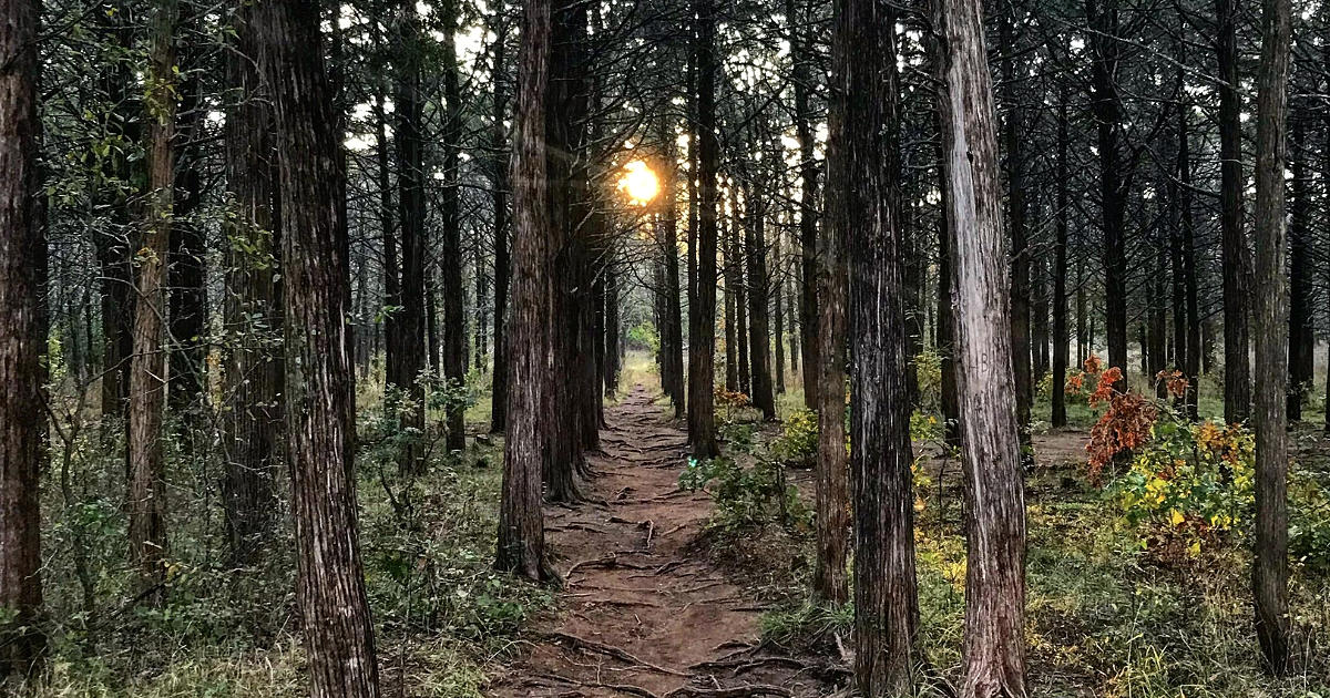 The Parallel Forest Loop Trail Is An Abandoned Trail In Oklahoma