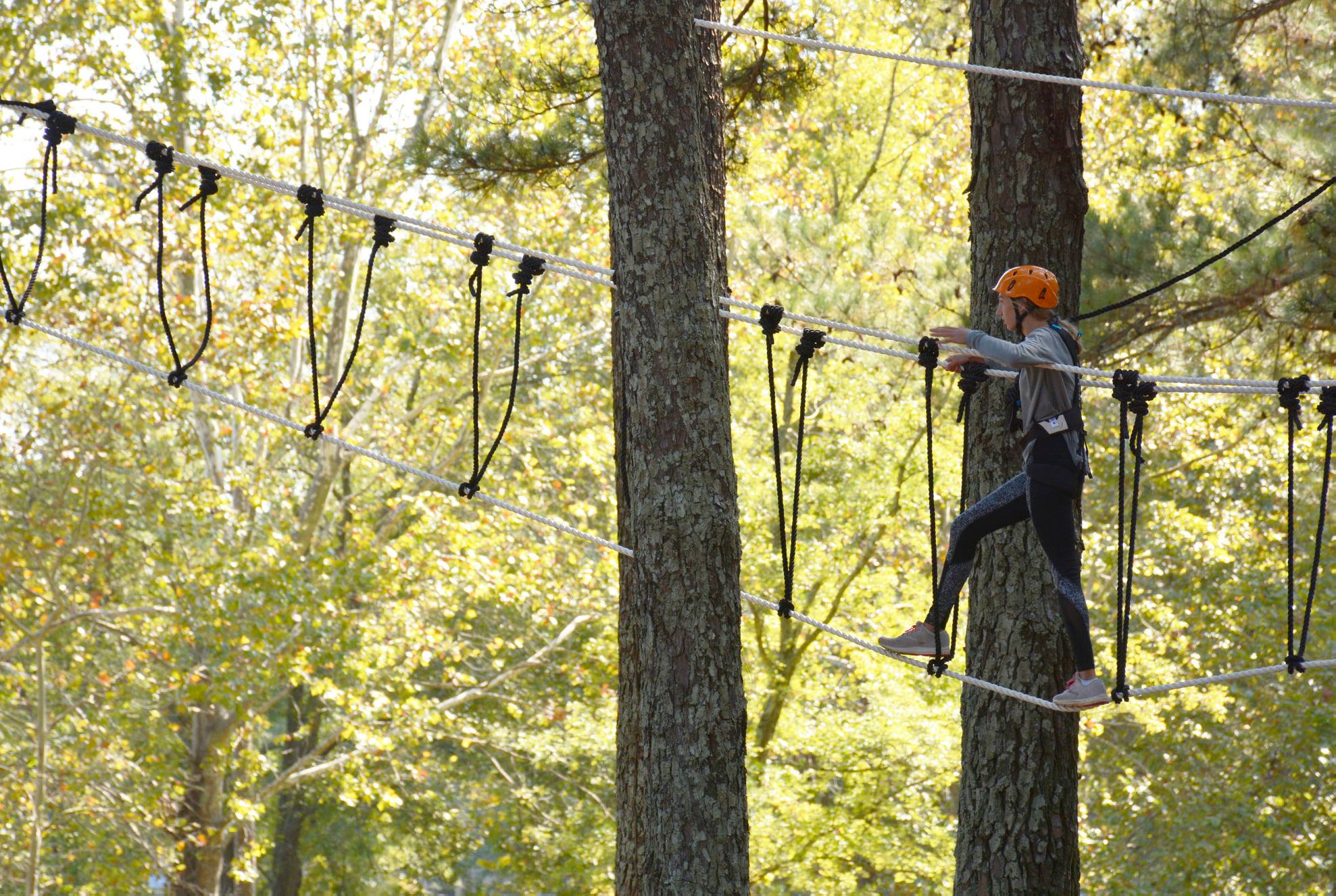You’ll Want To Experience The One-Of-A-Kind Aerial Course At The Raptor ...