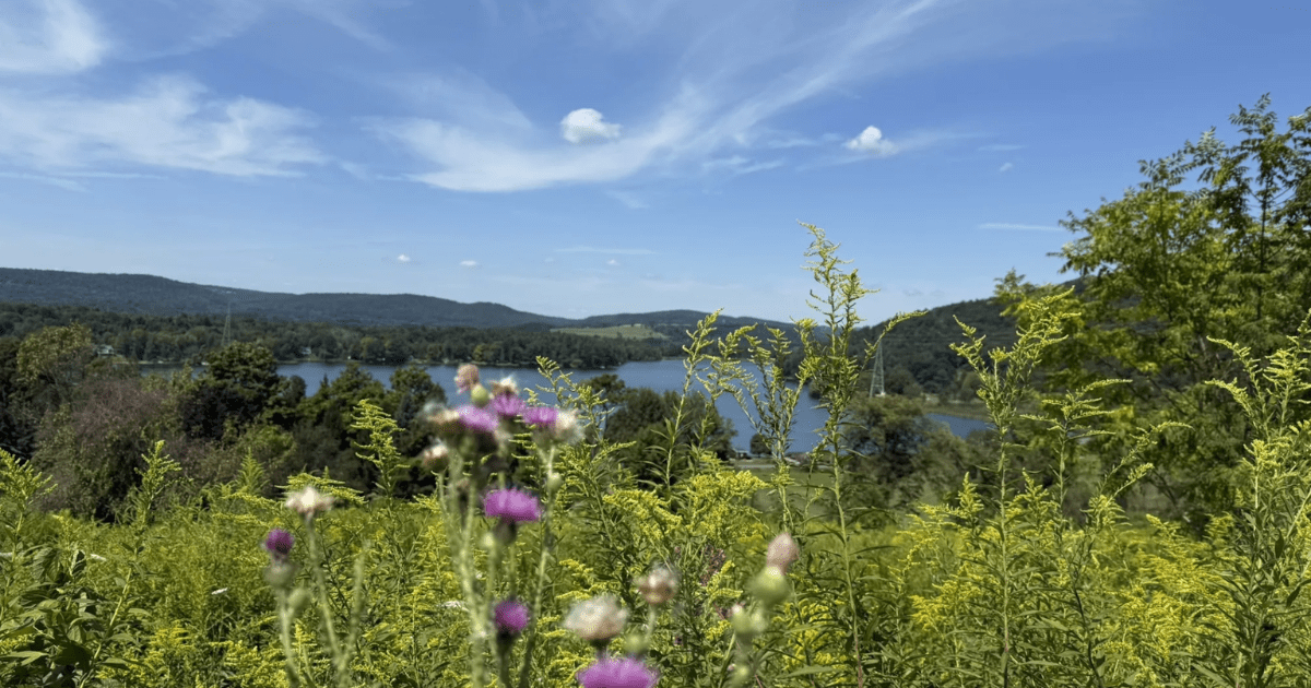 9 Easy Spring Hikes in Connecticut With Beautiful Views