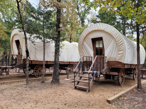 Enjoy Awesome Animal Encounters At Oak Meadow Ranch