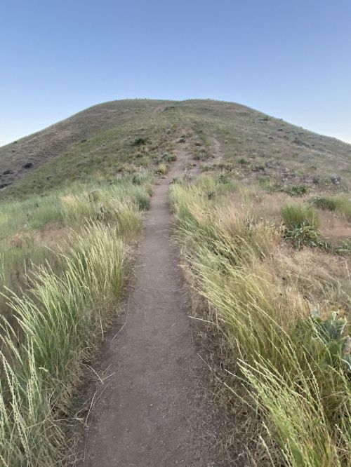 Take A Strenuous Path To Cervidae Peak In Idaho