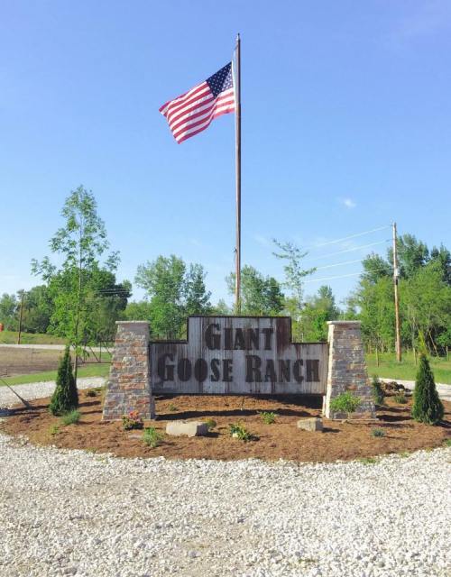 Discover Giant Goose Ranch: Illinois' Premier Camping Destination