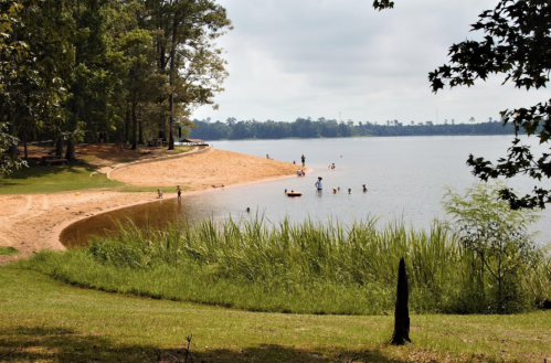Indian Creek Reservoir Is A Beautiful Spot In The Louisiana Forests