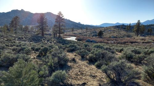 7 Scenic Backroads in Southern California for a Beautiful Drive