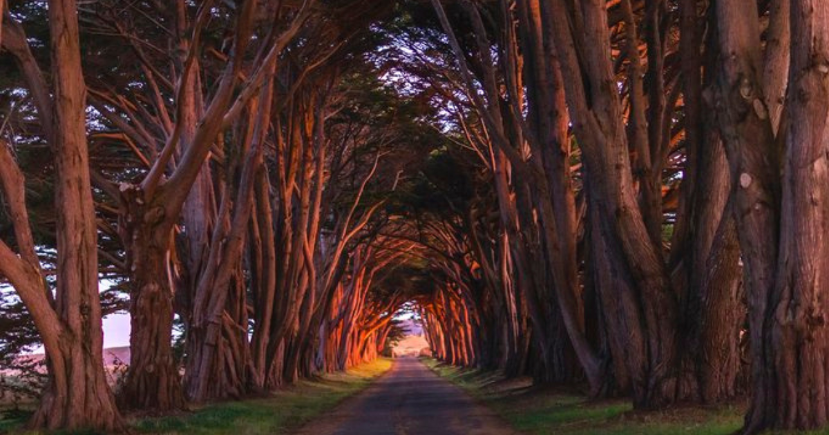 12 Unforgettable Northern California Day Trips, One For Each Month Of ...