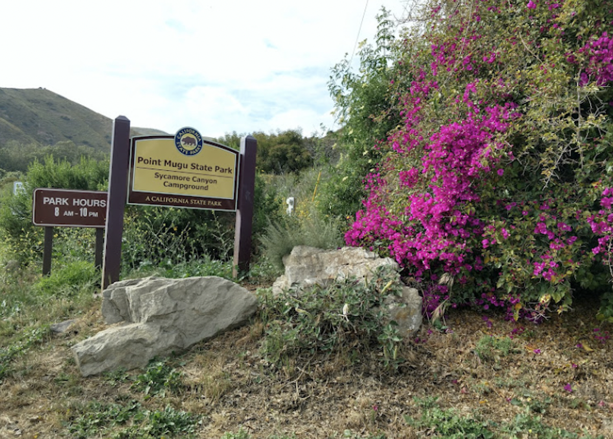 Year Round Camping at Sycamore Canyon Campground in SoCal
