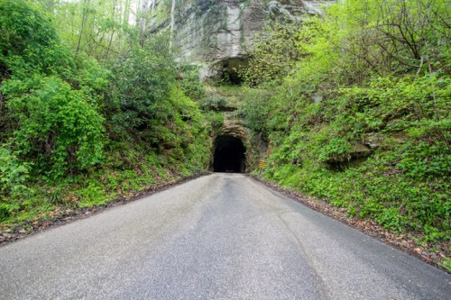 Best Road TripsIn Kentucky: Red River Gorge Scenic Byway
