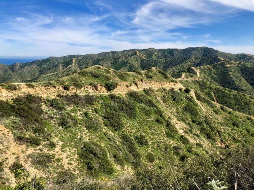 Escape to Catalina Island: A Hidden Gem Only an Hour From Dana Point