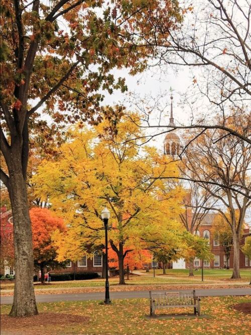 Visit The 5 Most Historic New Hampshire Towns