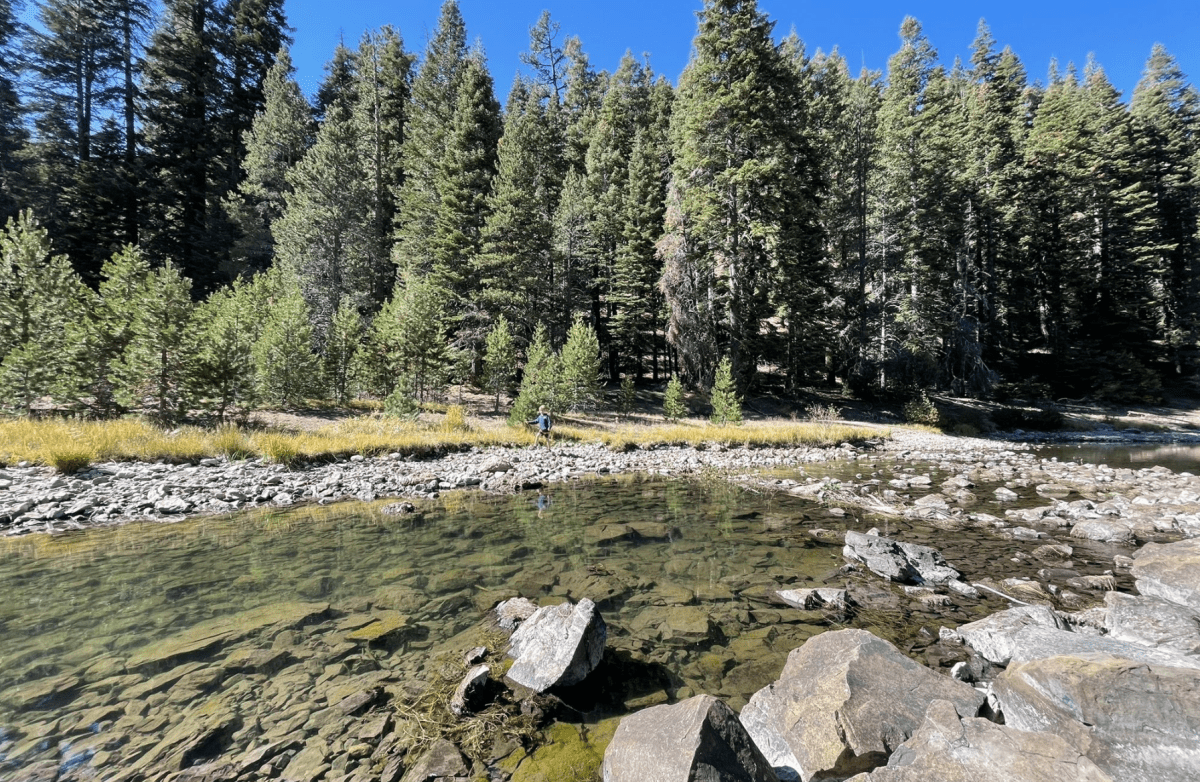 The Truckee River Trail In Tahoe, California, Is An Amazing River Trail