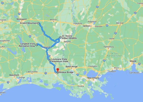 The Scenic Louisiana Road Trip Will Impress And Wow You!