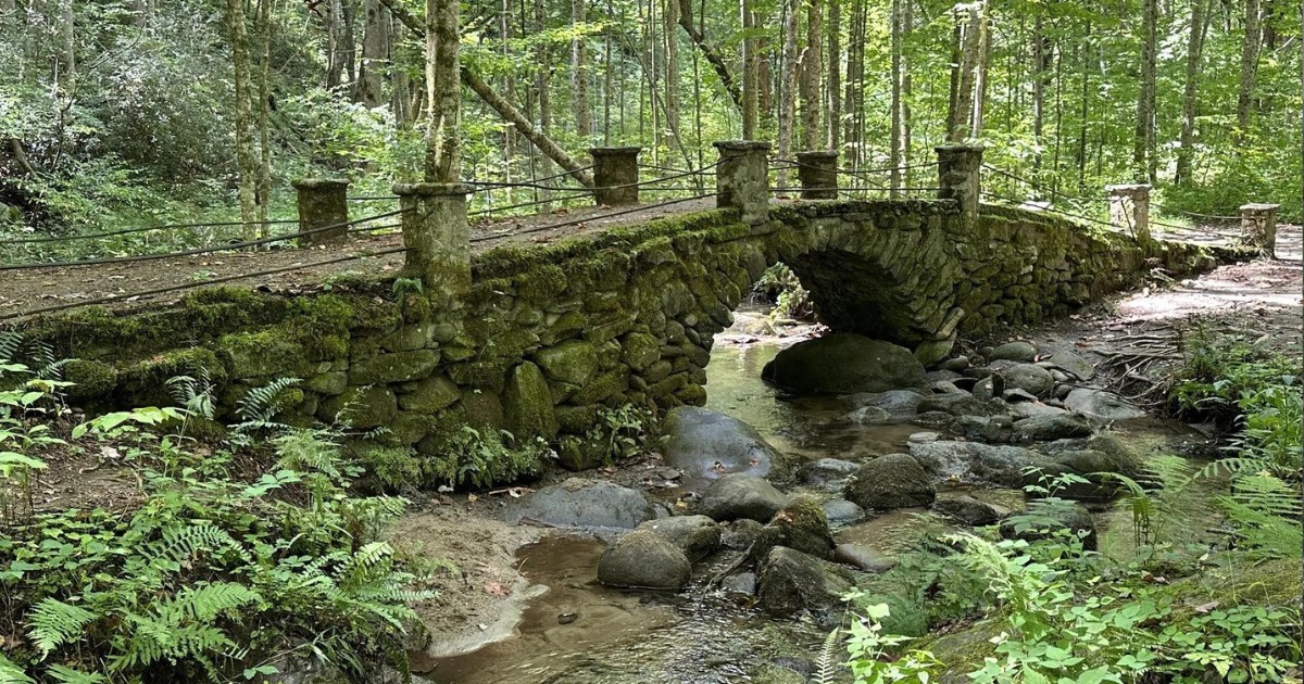 11 Of The Best Spring Hikes In Tennessee
